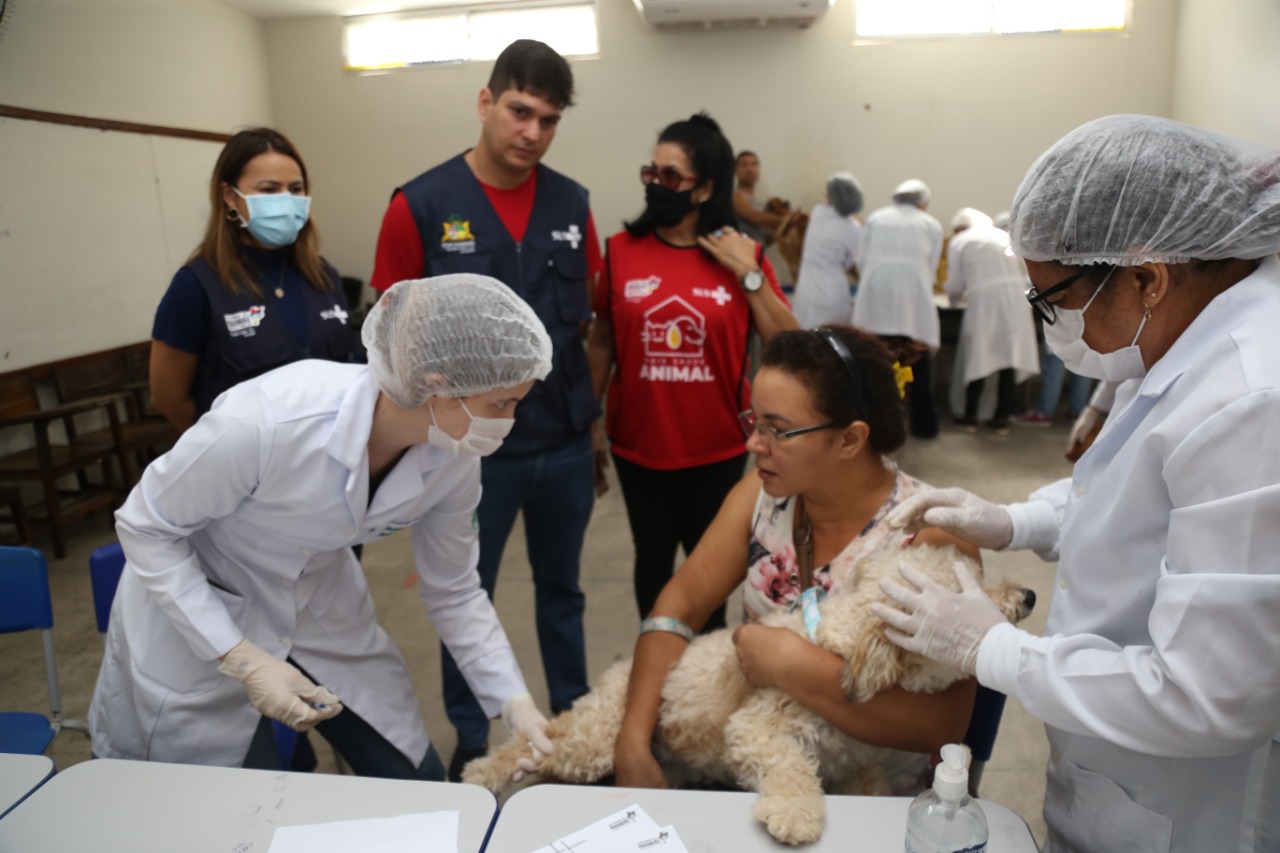 Edições do Mais Saúde Animal somam 8,8 mil atendimentos em 2022 ...