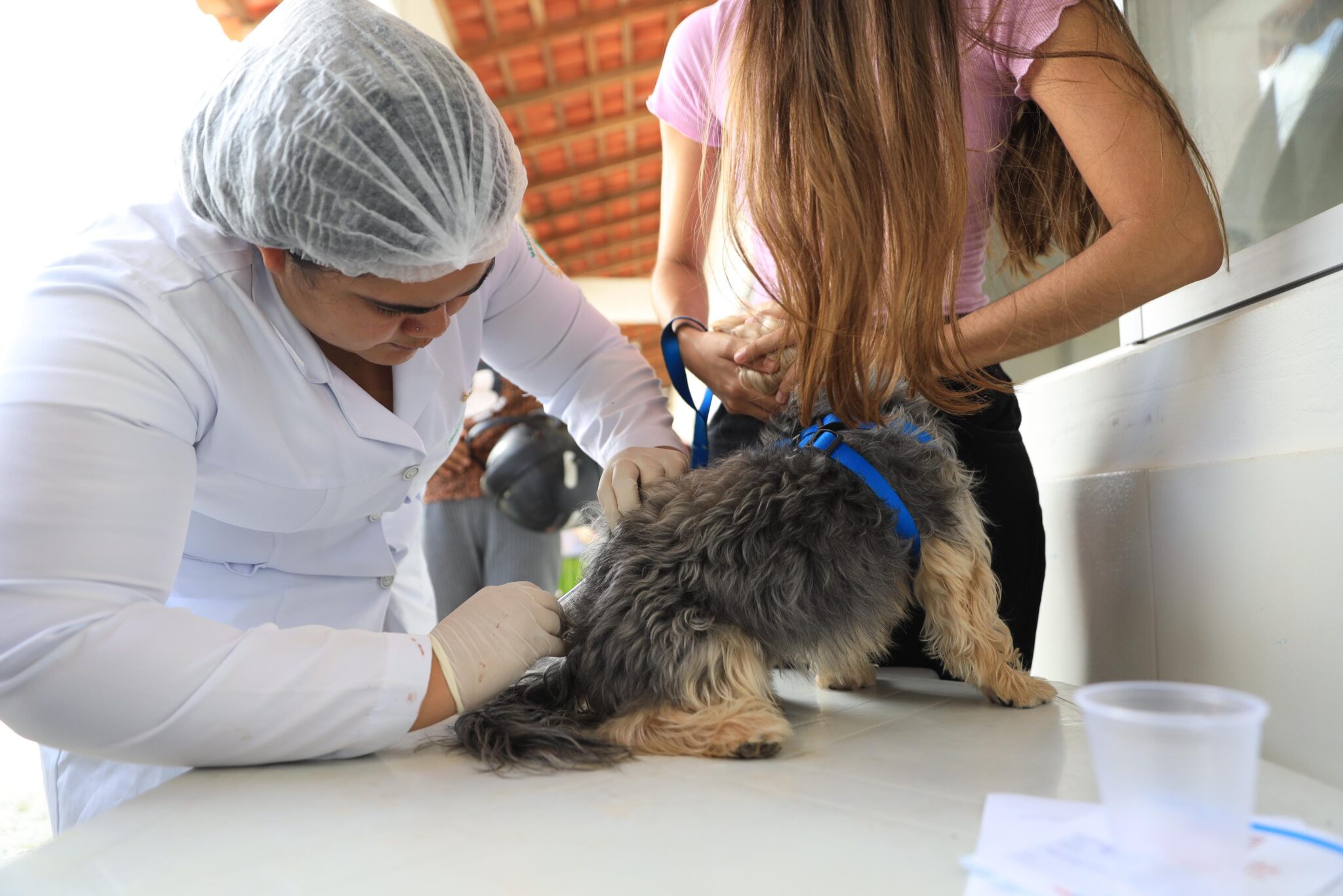 Governo fez mais de 1.700 atendimentos na primeira edição do Programa ...